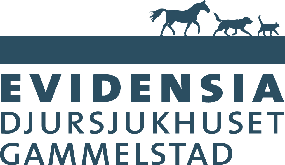 Veterinary Referral Experts | IVC Evidensia Referrals