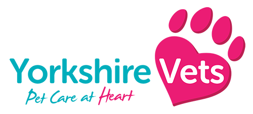 Lead Veterinary Surgeon - Small Animal | Yorkshire Vets, Morley Surgery ...